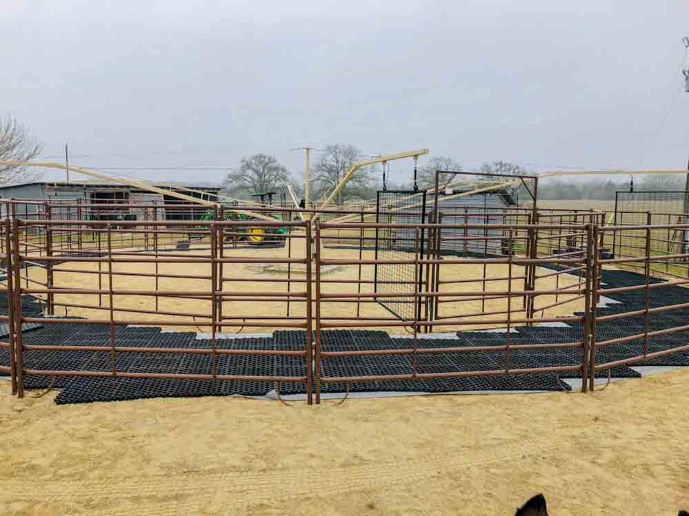 Horse Paddock Footing Grid - Paddock Slab — Paramount Materials
