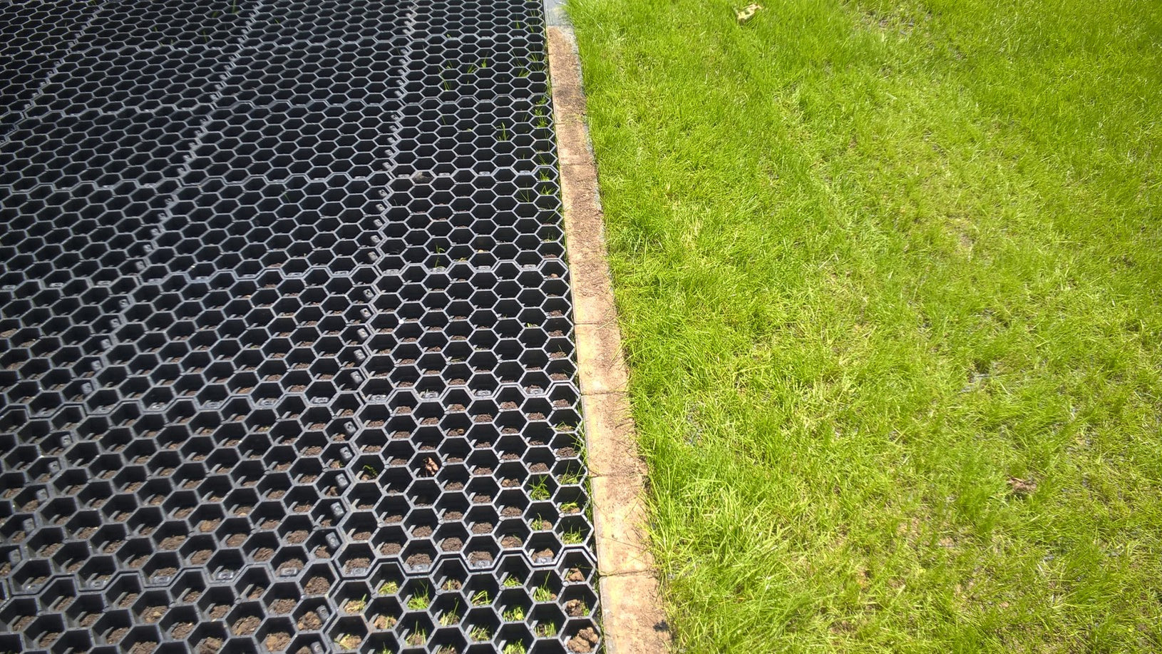 Horse Paddock Footing Grid - Paddock Slab — Paramount Materials