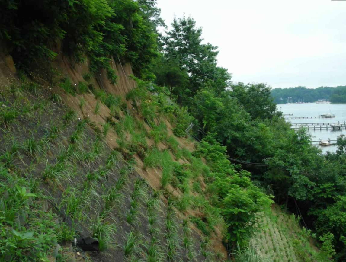 Slope Stabilization Grid - 4" - SlopeGrid — Paramount Materials